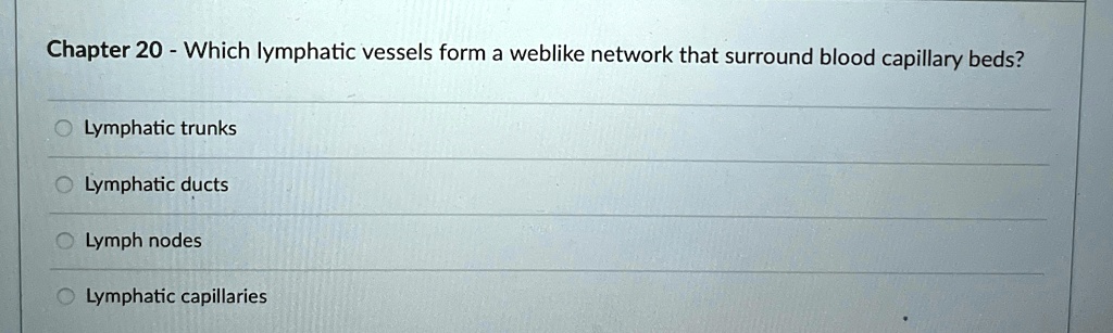 Chapter 20 - Which lymphatic vessels form a weblike network that ...
