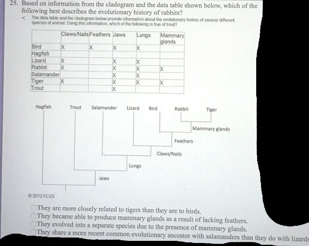 25. Based on information from the cladogram and the data table shown below, which of the ...
