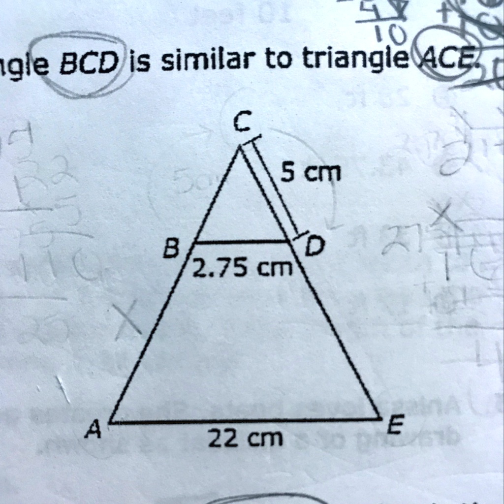 ngle BCD is similar to triangle ACE C 5 cm B D 2.75 cm A E 22 cm