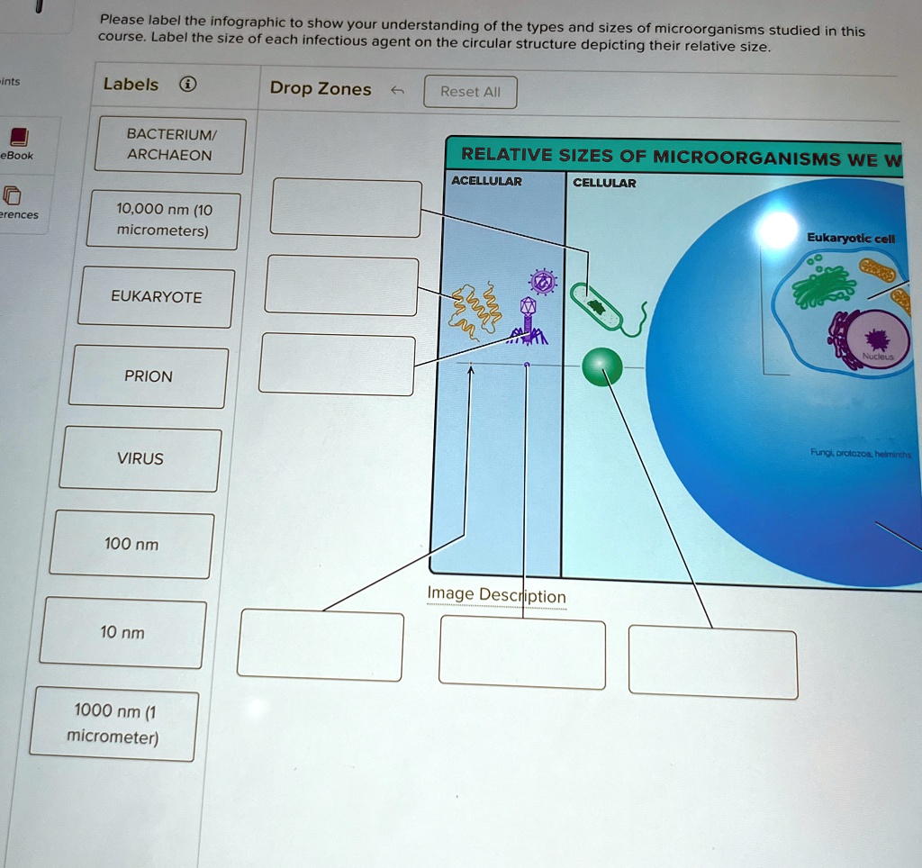 please label the infographic to show your understanding of the types ...