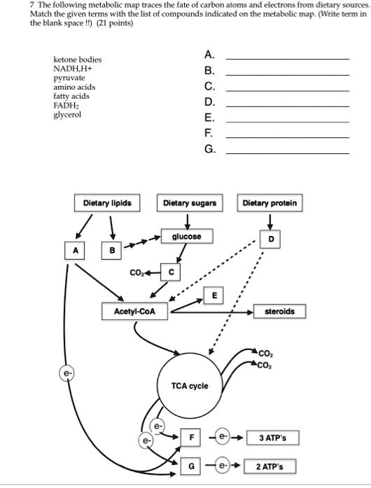 SOLVED: Texts: Help, I can't seem to figure this question out. :( 7. The following metabolic map ...