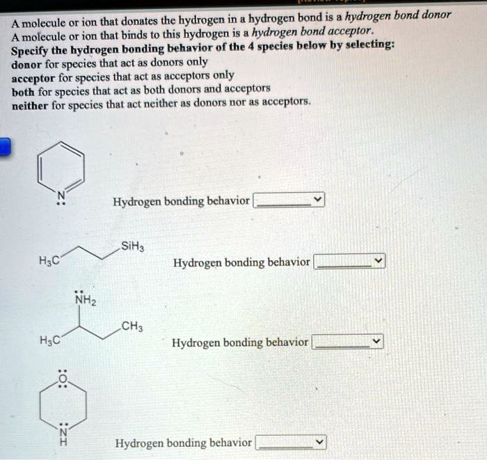 SOLVED: hydrogen in a hydrogen bond is a hydrogen bond donor A molecule ...