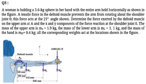 SOLVED: A woman is holding a 3.6-kg sphere in her hand with the entire ...