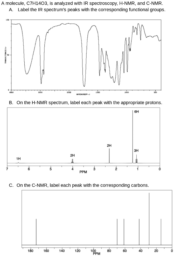 A molecule, C7H14O3, is analyzed with IR spectroscopy, H-NMR, and C-NMR. A. Label the IR ...