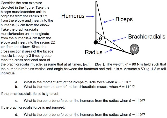 consider the arm exercise depicted in the figure take the biceps ...