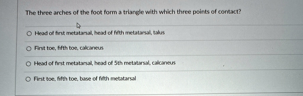 the three arches of the foot form a triangle with which three points of ...
