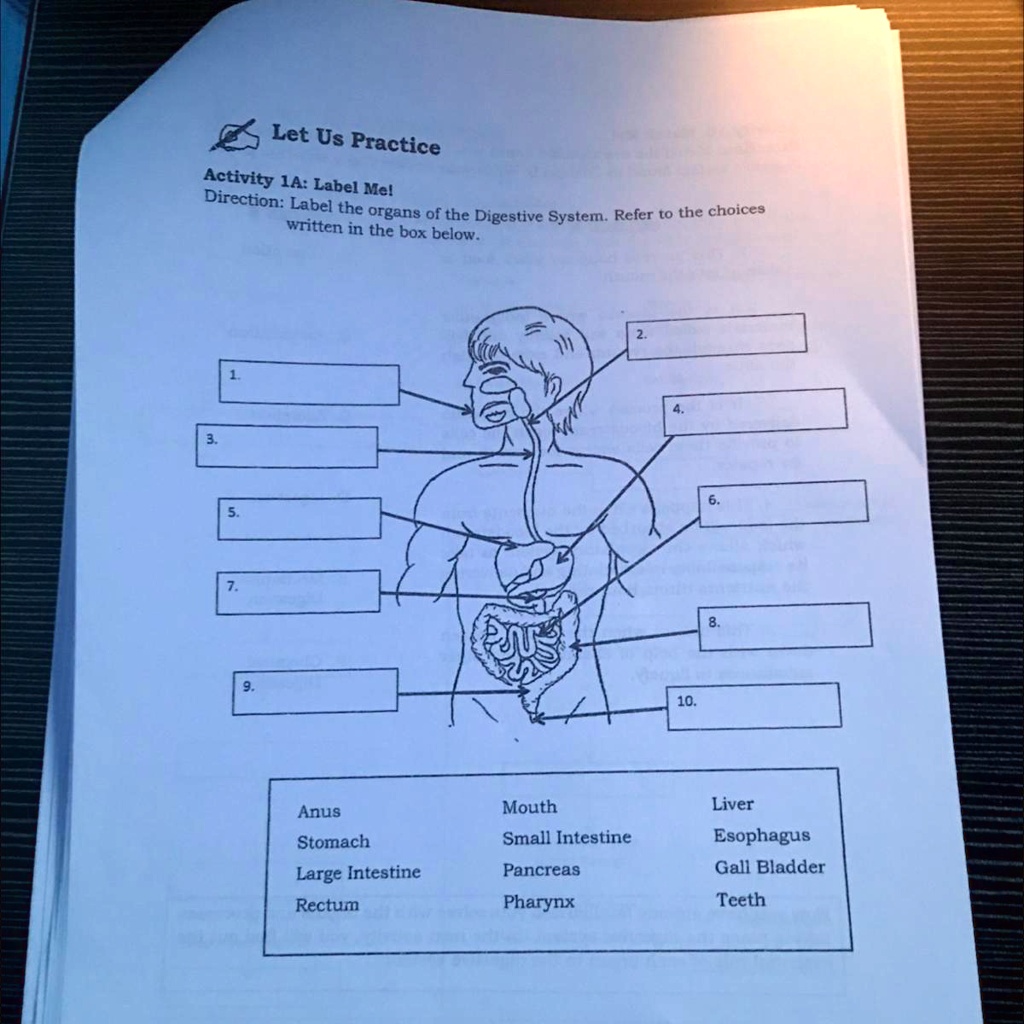 SOLVED: 'Let Us Practice Activity 1A: Label Me! Direction: Label the ...