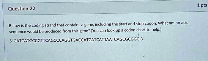 SOLVED: Gene; including the start and stop codon. What amino acid? Below is the coding strand ...