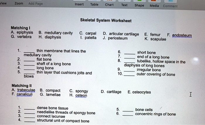 SOLVED: Texts: View Zoom Add Page Insert Table Chart Text Show Media ...