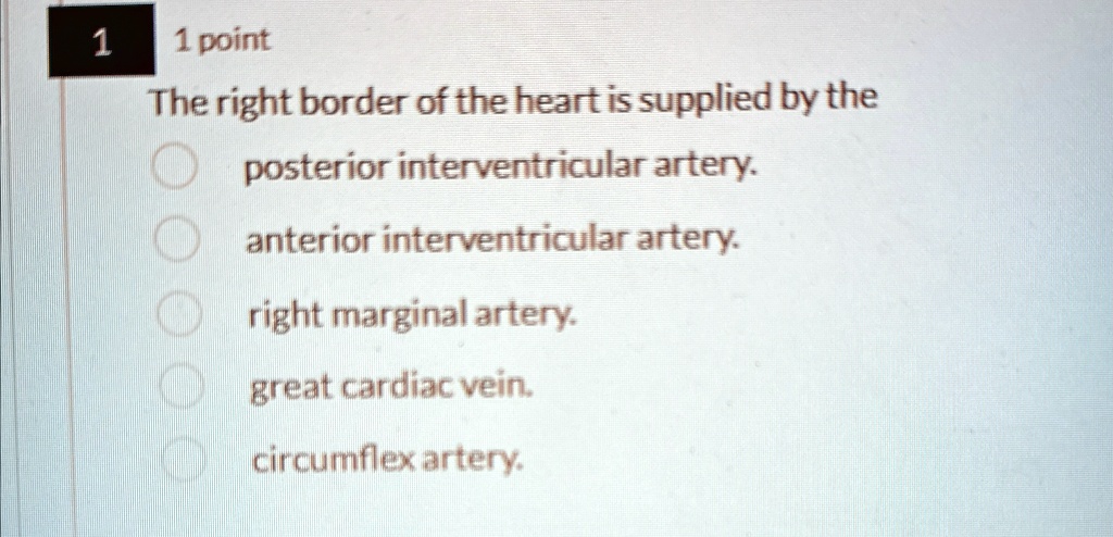 11 point The right border of the heart is supplied by the posterior ...