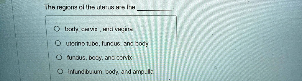 the regions of the uterus are the o body cervix and vagina o uterine ...