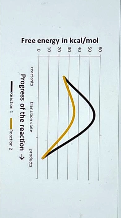 SOLVED: What of the following statements are true? Based on the Picture ...