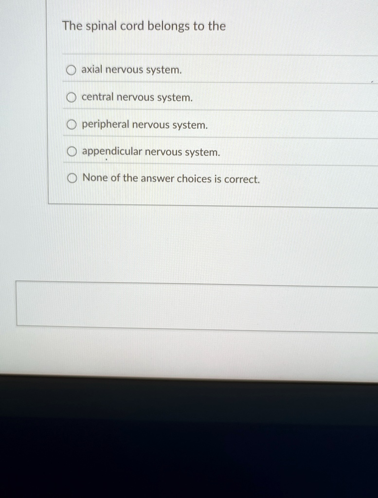 the spinal cord belongs to the axial nervous system central nervous system peripheral nervous ...