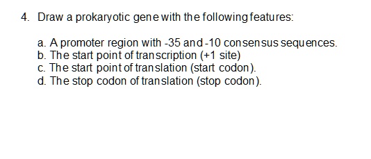 SOLVED: Draw a prokaryotic gene with the following features: A promoter region with -35 and -10 ...
