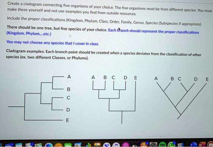 SOLVED: Create cladogram connecting five make these yourself Organisms of vour choice The five ...
