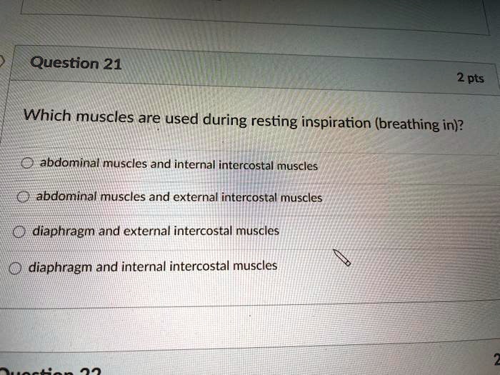 SOLVED: Which muscles are used during resting inspiration (breathing in ...