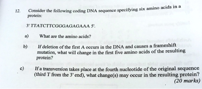 SOLVED: acids Consider the following coding DNA sequence specifying six amino protein ...