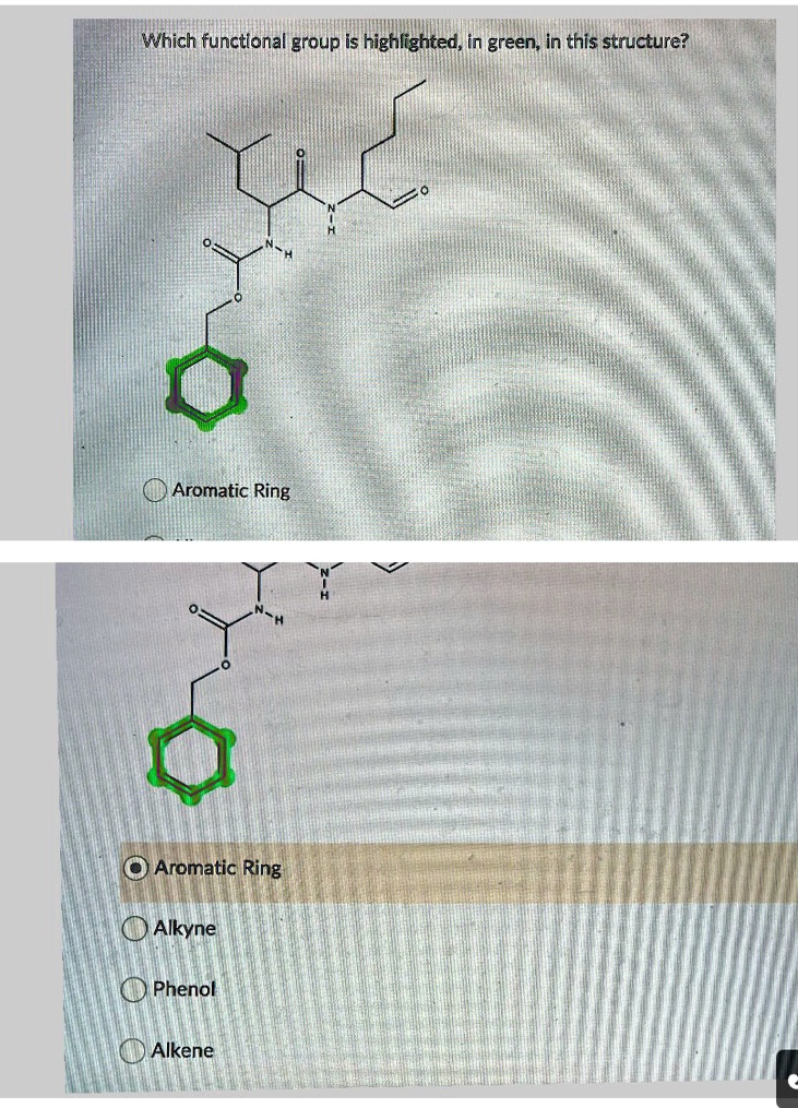 SOLVED: 'Which functional group is highlighted, in green; in this ...
