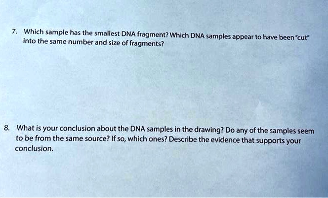 [GET ANSWER] which sample has the smallest dna fragment which dna ...