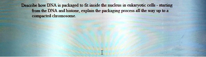 Describe how DNA is packaged to fit inside the nucleus in eukaryotic ...