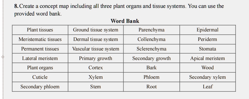 SOLVED: Create a concept map including all three plant organs and ...