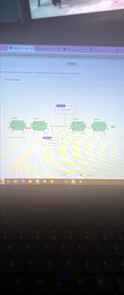 SOLVED: The formation and the breakdown of disaccharides. Correctly label each reaction.