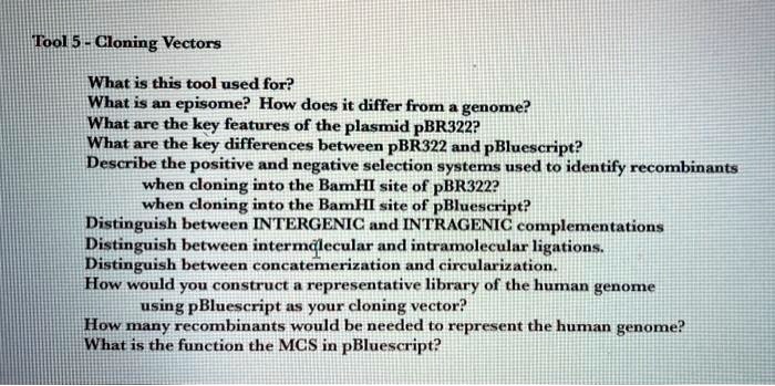 Tool 5 - Cloning Vectors What is this tool used for? What is an episome ...