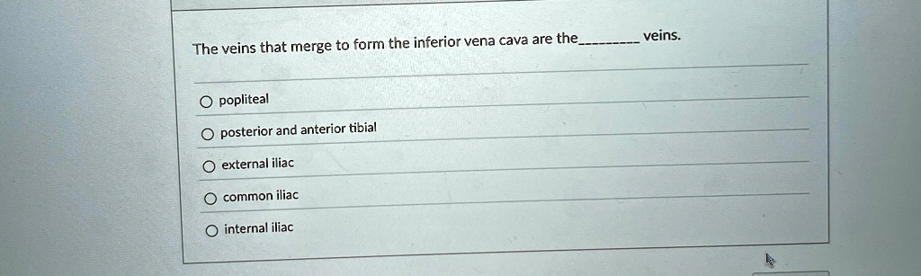 the veins that merge to form the inferior vena cava are the veins o popliteal o posterior and ...