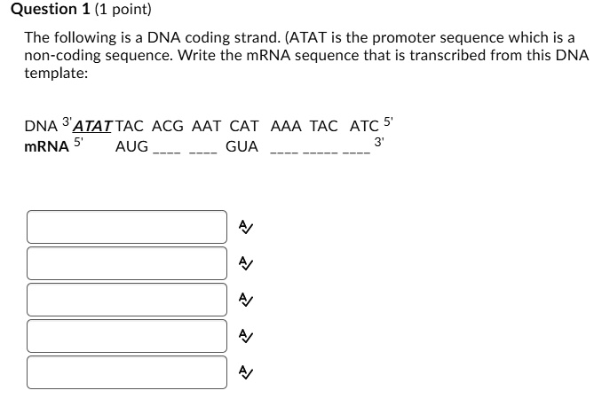 SOLVED: Question 1 (1 point) The following is a DNA coding strand ...