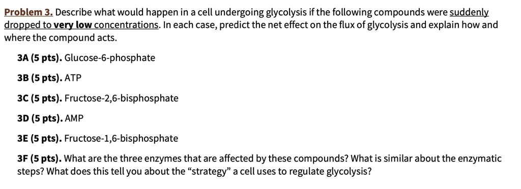 SOLVED: Problem 3. Describe what would happen in a cell undergoing ...