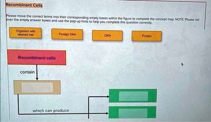 SOLVED: Please move the correct terms into their corresponding empty boxes within the figure to ...