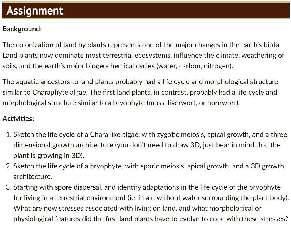 SOLVED: Assignment Background: The colonization of land by plants ...