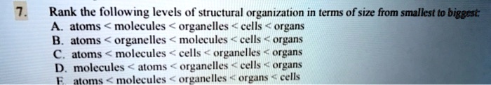 SOLVED: Rank the following levels of structural organization in terms ...