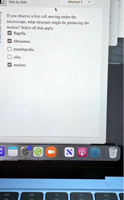 If you observe a live cell moving under the microscope, what structure might be producing the ...