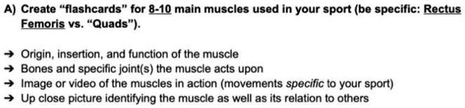 SOLVED: A) Create "flashcards" for 8-10 main muscles used in your sport ...