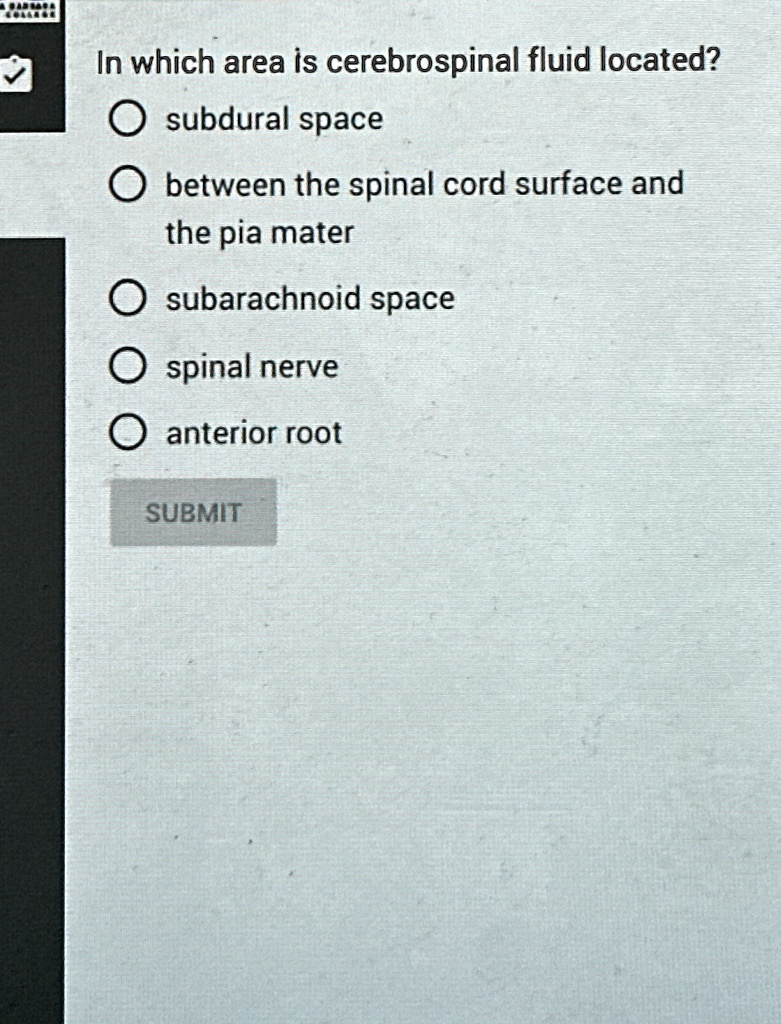 In which area is cerebrospinal fluid located? ? subdural space ? between the spinal cord surface ...