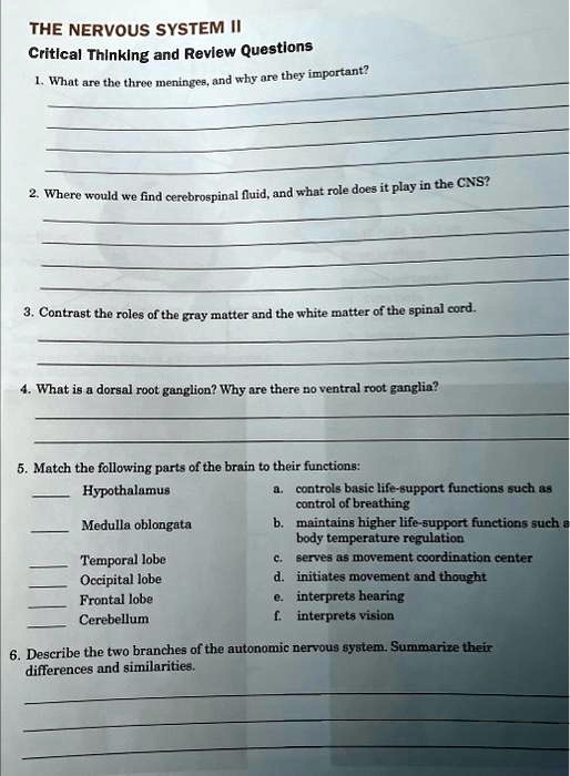SOLVED: Texts: 2 THE NERVOUS SYSTEM II 4. What is a dorsal root ganglion? Why are there no ...
