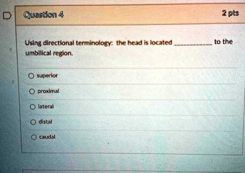 SOLVED: Question 4 2 pts Using directional terminology: the head is ...