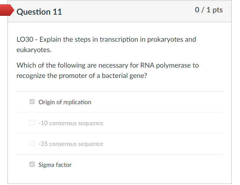 Question 11 0 / 1 pts LO30 - Explain the steps in transcription in ...