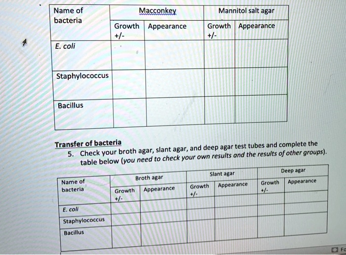 Name of bacteria E. coli Staphylococcus Bacillus Macconkey Growth ...