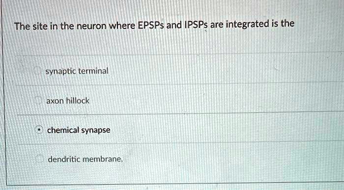 SOLVED: The site in the neuron where EPSPs and IPSPs are integrated is ... SOLVED: The site in the neuron where EPSPs and IPSPs are integrated is ...
