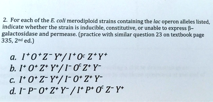 SOLVED: For each of the E. coli merodiploid strains containing the lac ...