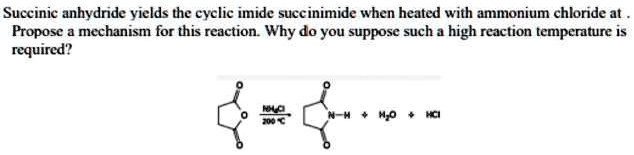 succinic anhydride yiclds the eyclic imide succinimide when heated with ...