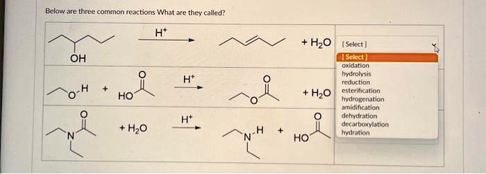 [GET ANSWER] Below are three common reactions What are they called? H+ ...