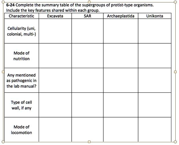 6 24 complete the summary table of the supergroups of protist type ...
