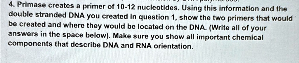 4. Primase creates a primer of 10-12 nucleotides. Using this...