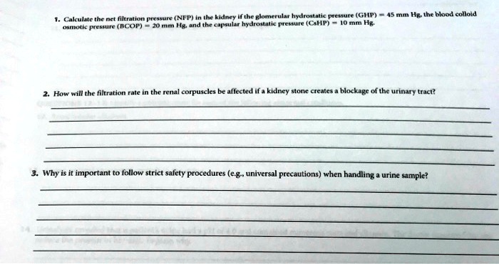 SOLVED: Calculate the net filtration pressure (NFP) in the kidney if the glomerular hydrostatic ...