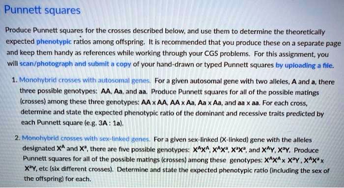 SOLVED: Produce Punnett squares for the crosses described below, and ...