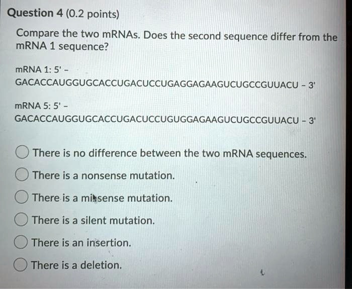 Solved Question 4 0 2 Points Compare The Two Mrnas Does The Second