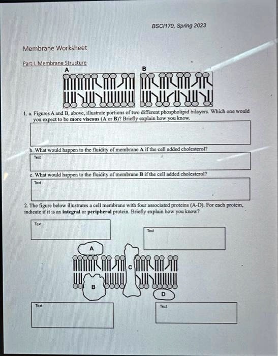 SOLVED: Texts: BSCI170, Spring 2023 Membrane Worksheet Part I: Membrane ...